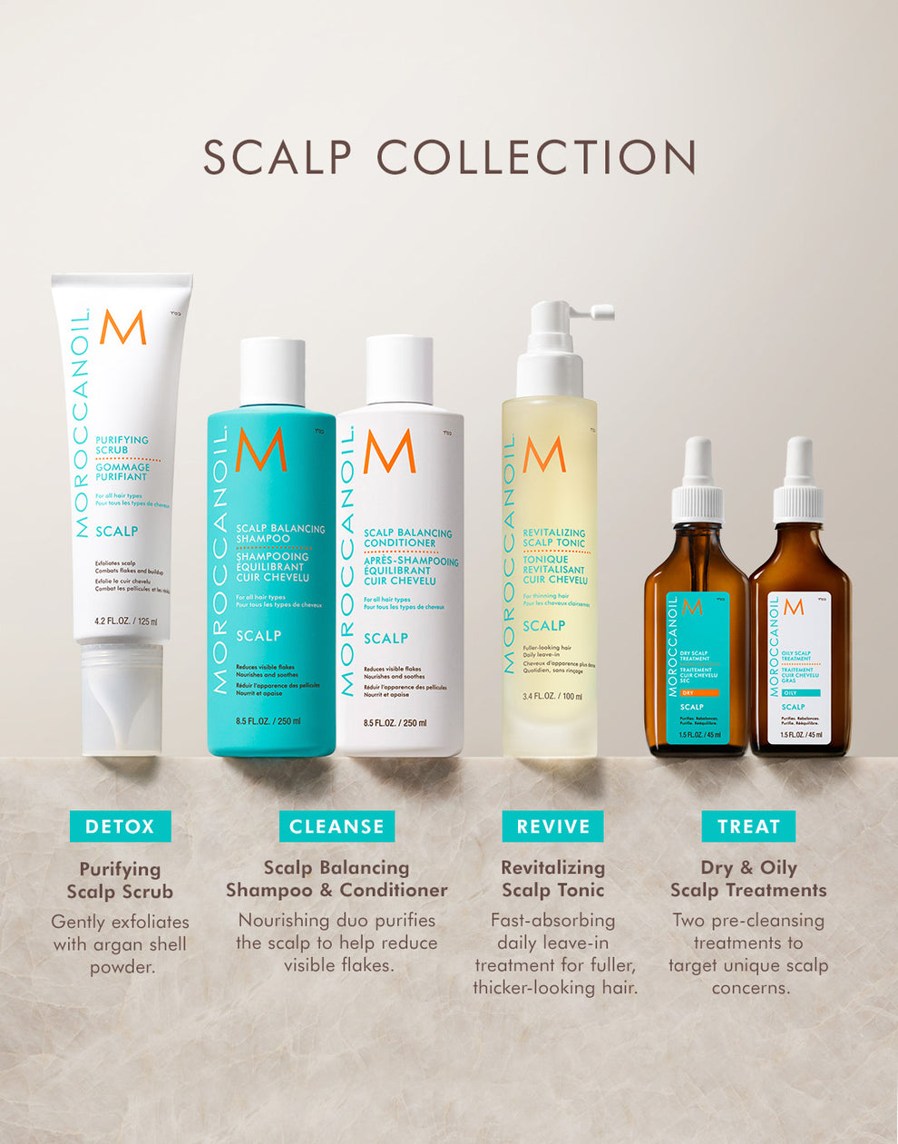 Purifying Pre-Wash Scalp Scrub – | Moroccanoil Canada